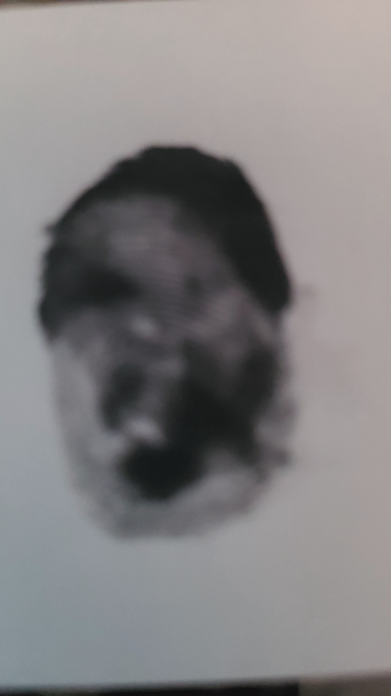 Diaryofanartcollector profile — fxhash