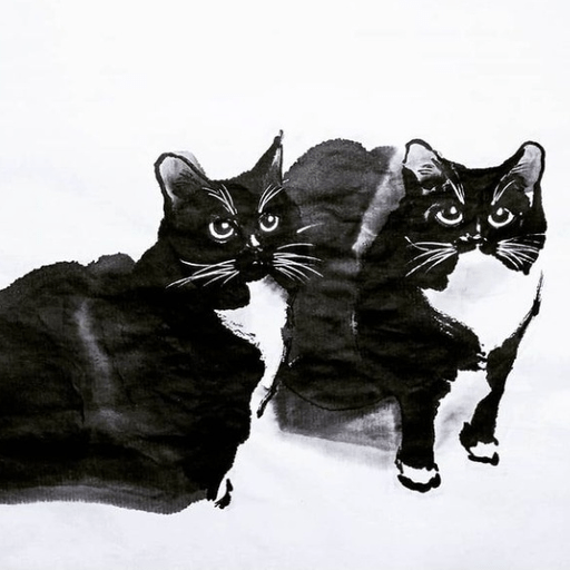 inkpeony profile — fxhash