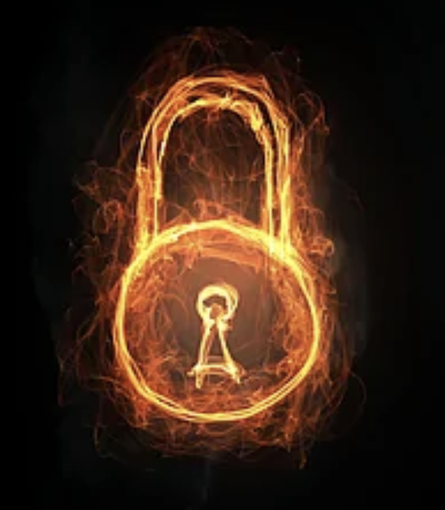 EdgeVault profile — fxhash