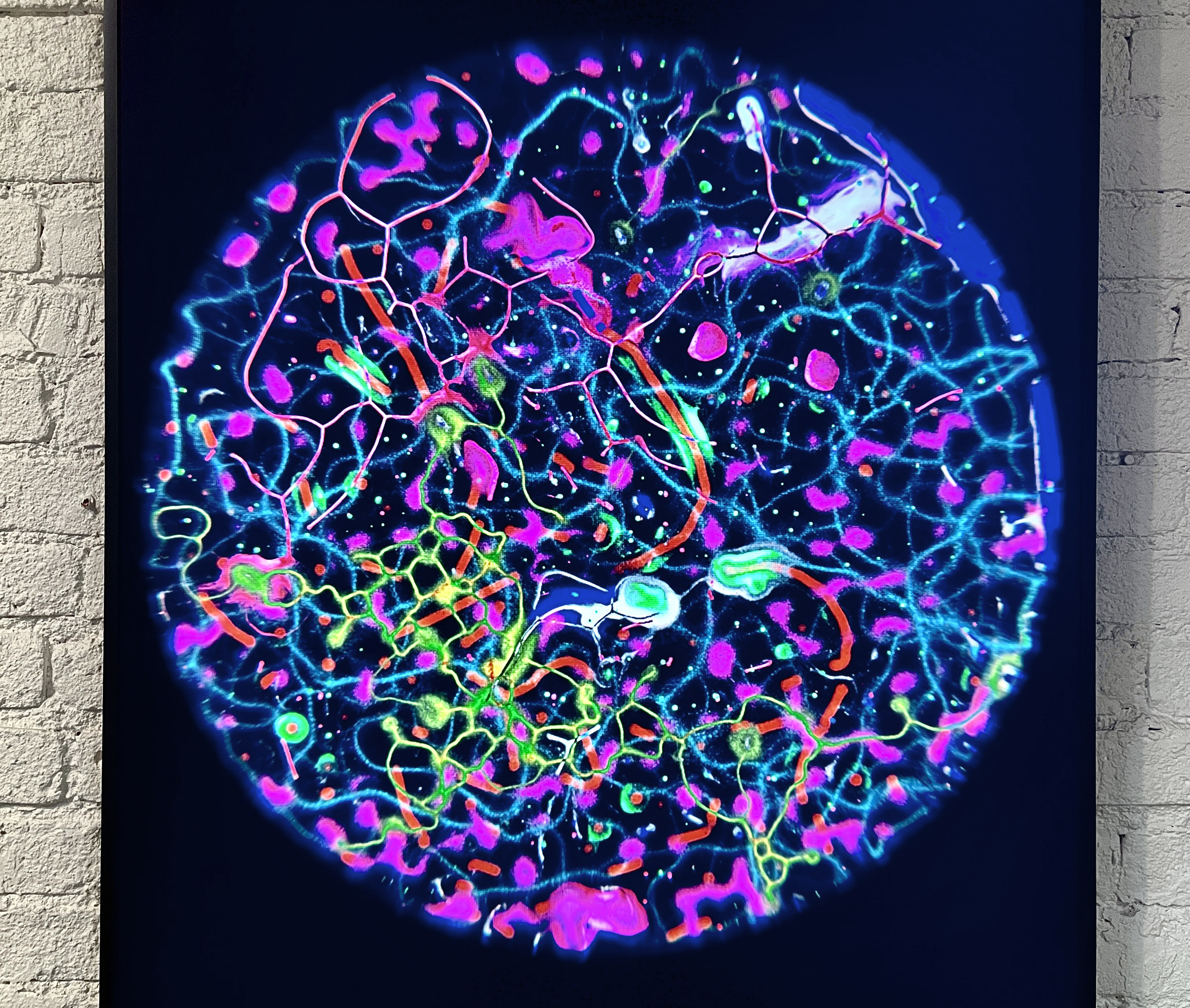 Expanding the Canvas with fx(hash) — fxhash