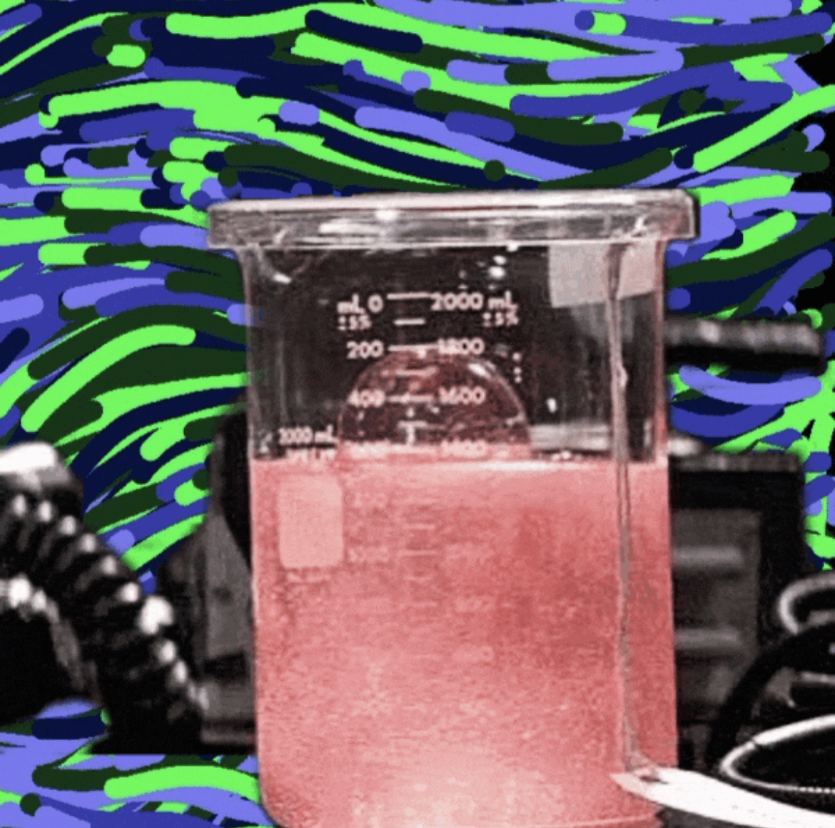 moodSlime profile | fxhash