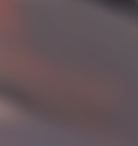 tuiler profile — fxhash